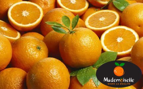 Les oranges Valencia Late Mademoiselle Agrumes